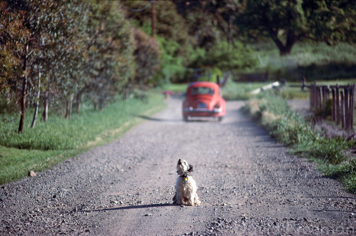 Freeman Photography – Fine art photography, Visual Pleasures notecards ...